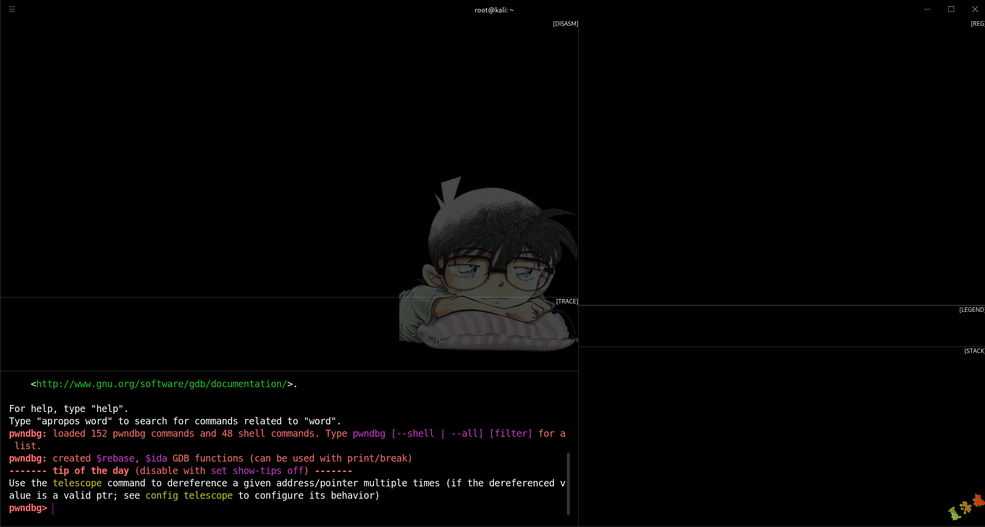 Kali配置 夏洛魂的个人博客